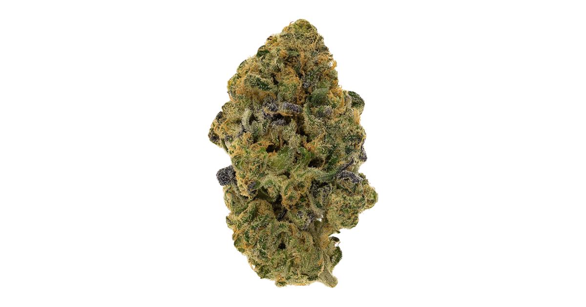 Shirley Temple Cannabis Strain Information - GrowDiaries