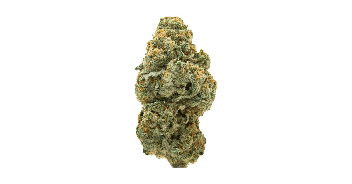 Jungle Mints Cannabis Strain Information - GrowDiaries