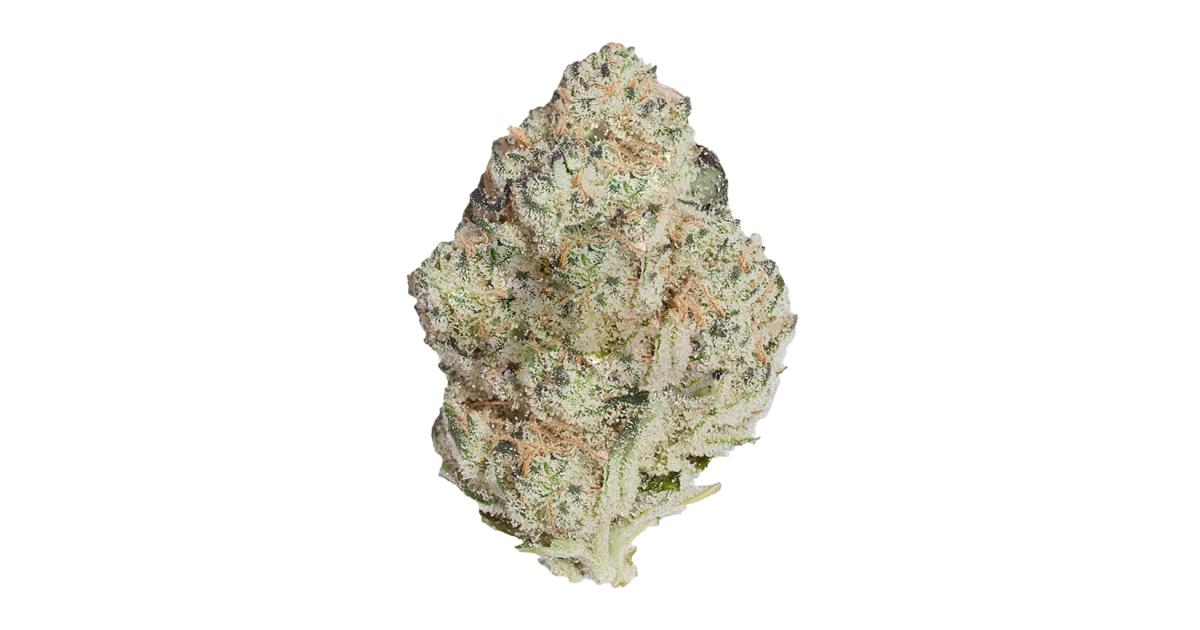 Chimera Cannabis Strain Information - GrowDiaries