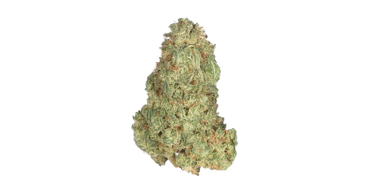 Grape OG Cannabis Strain Information - GrowDiaries