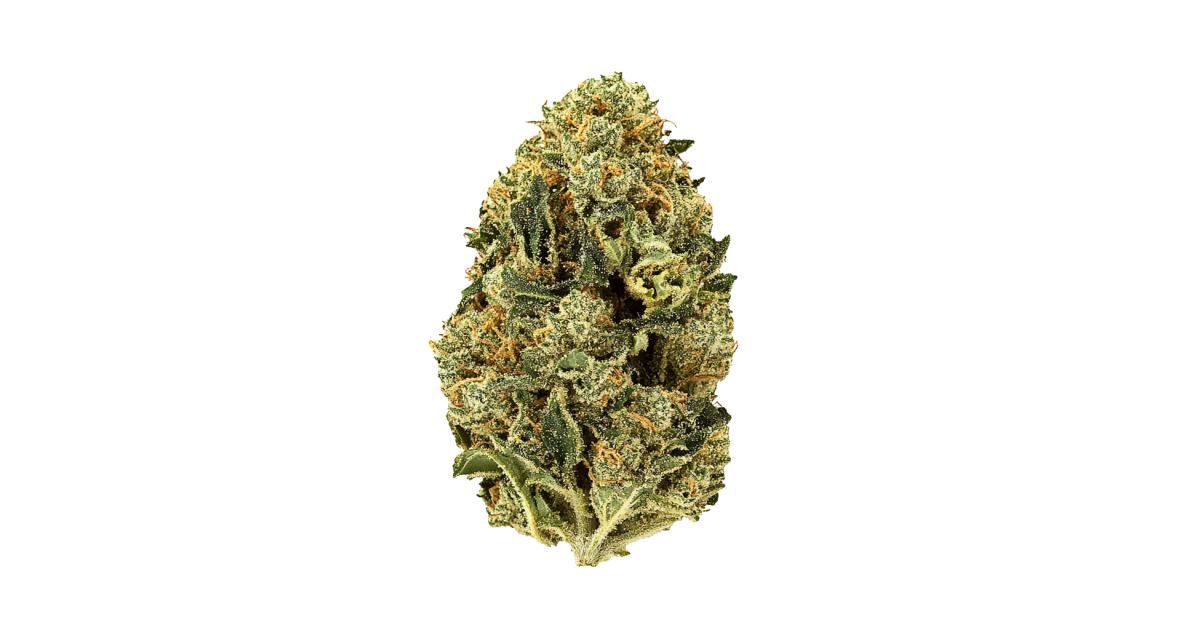 Alien Pebbles Cannabis Strain Information - GrowDiaries