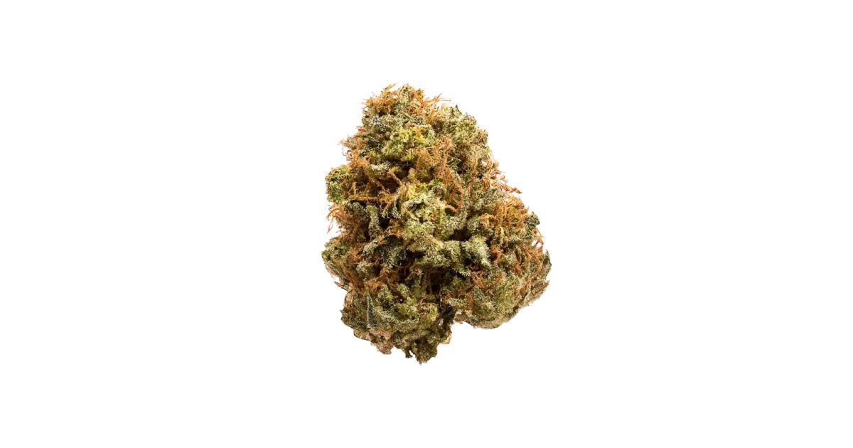 Blue Steel Cannabis Strain Information - GrowDiaries