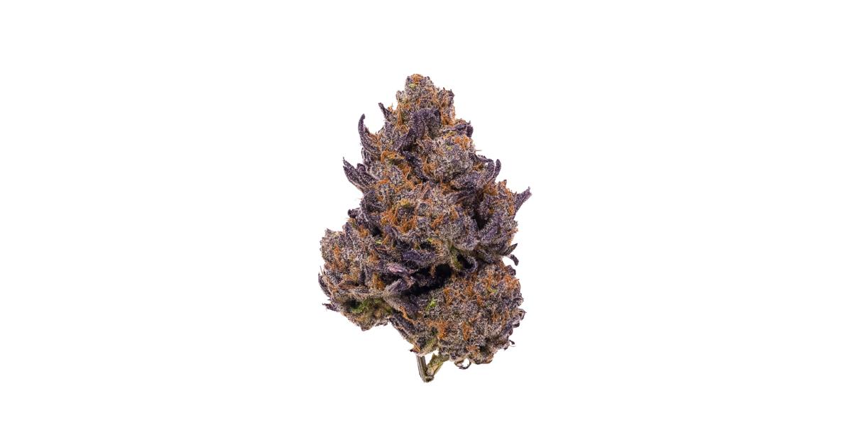 Purple Dragon Cannabis Strain Information - GrowDiaries