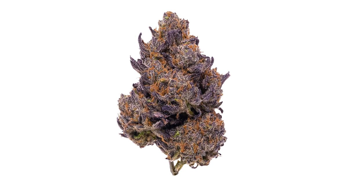 Purple Dragon Cannabis Strain Information - GrowDiaries
