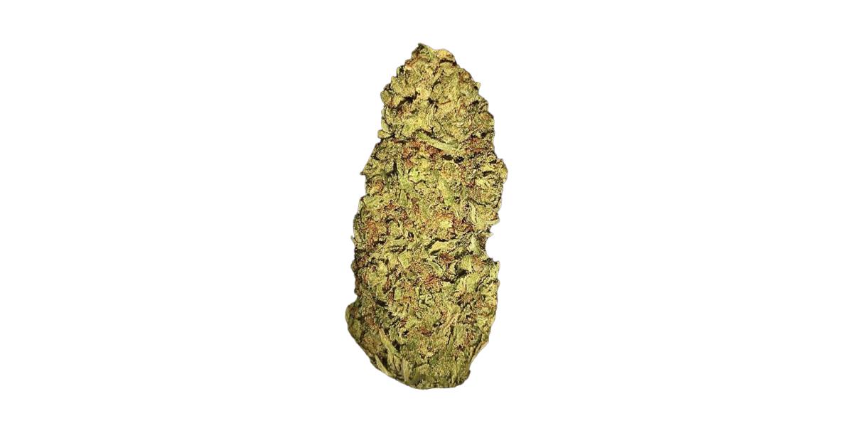 Bugatti Cannabis Strain Information - GrowDiaries