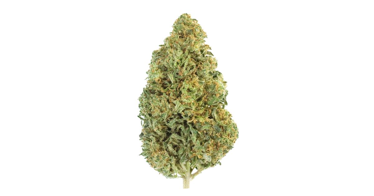 White Diesel Cannabis Strain Information - GrowDiaries