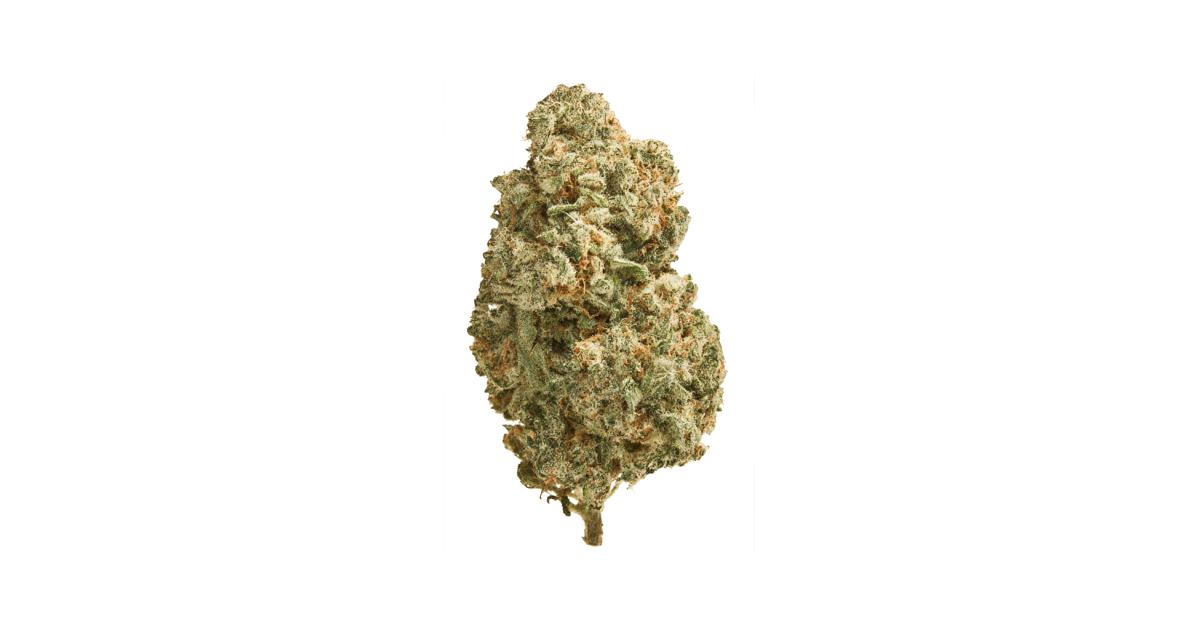 Sour Chillz Cannabis Strain Information - GrowDiaries