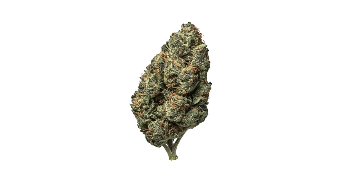 Sour Tangie Cannabis Strain Information - GrowDiaries