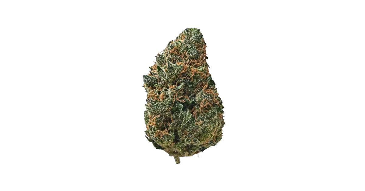 Bubblegum Gelato Cannabis Strain Information - GrowDiaries