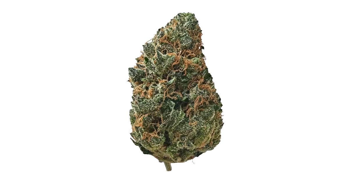 Bubblegum Gelato Cannabis Strain Information - GrowDiaries