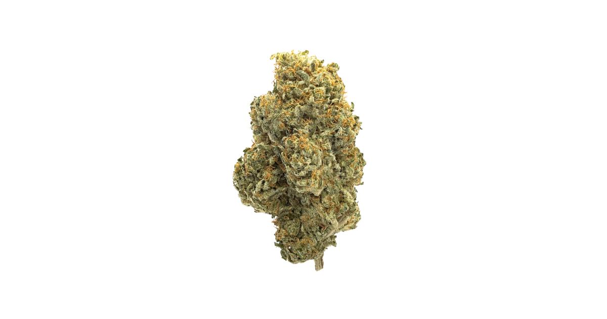 Freakshow Cannabis Strain Information - GrowDiaries