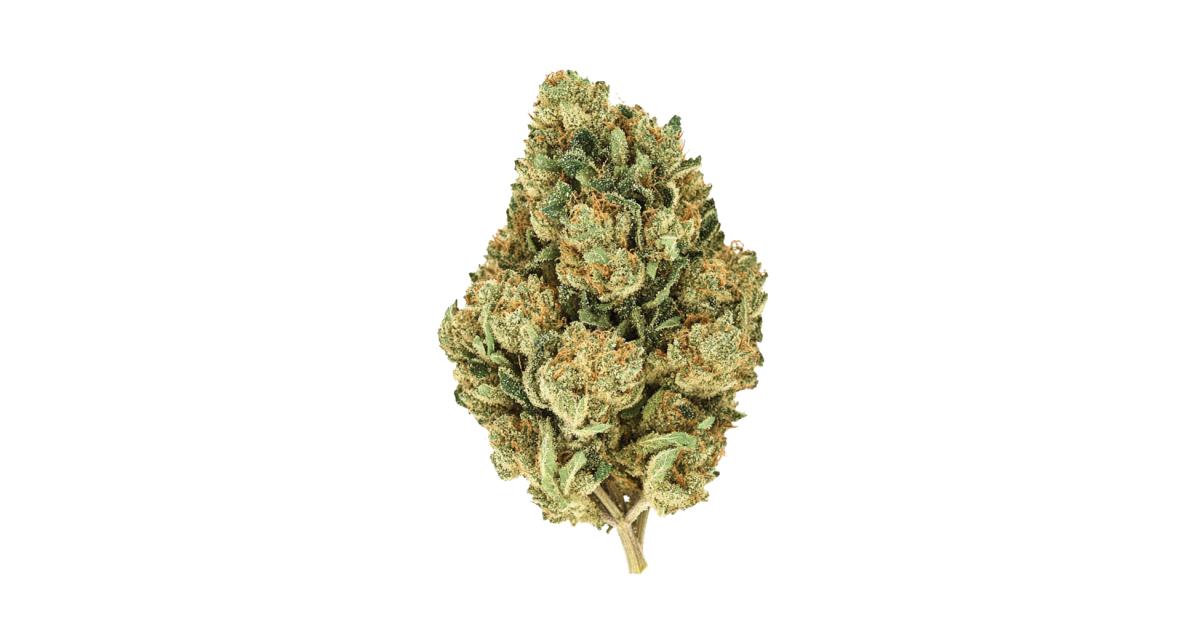 Crystal Coma Cannabis Strain Information - GrowDiaries