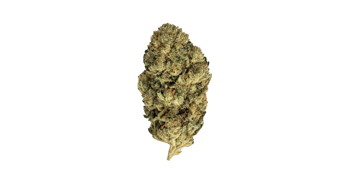 Critical Kush Cannabis Strain Information - GrowDiaries
