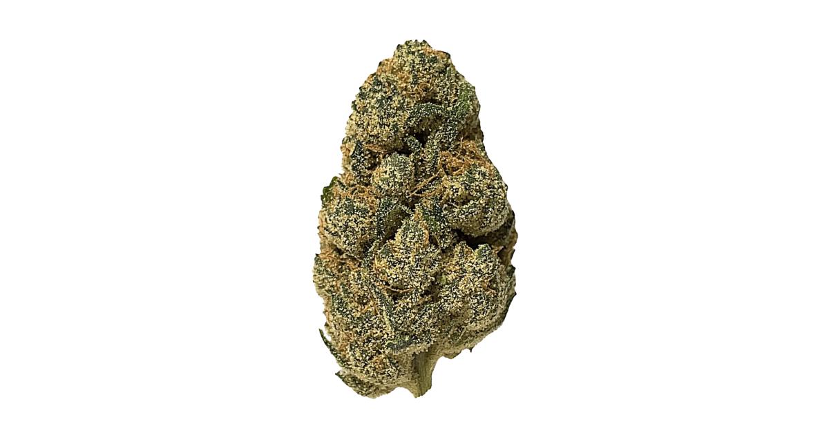Critical Plus Cannabis Strain Diaries - GrowDiaries