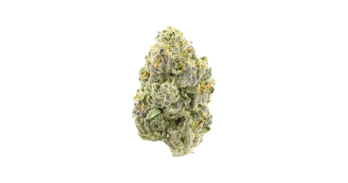 Devil's Drip Cannabis Strain Information - GrowDiaries