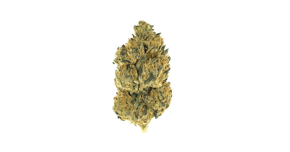 Crazy Glue Cannabis Strain Information - GrowDiaries