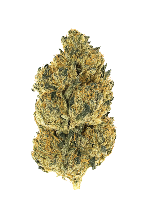 Gorilla Glue Cannabis Strain Information - GrowDiaries