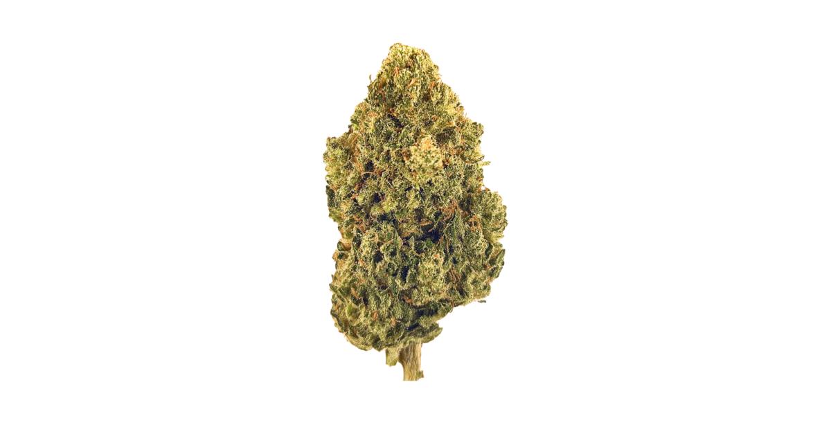 Apple Blossom Cannabis Strain Information - GrowDiaries