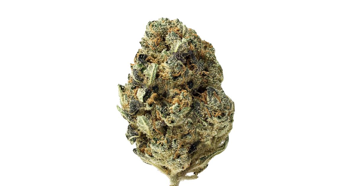Zookies Cannabis Strain Information - GrowDiaries