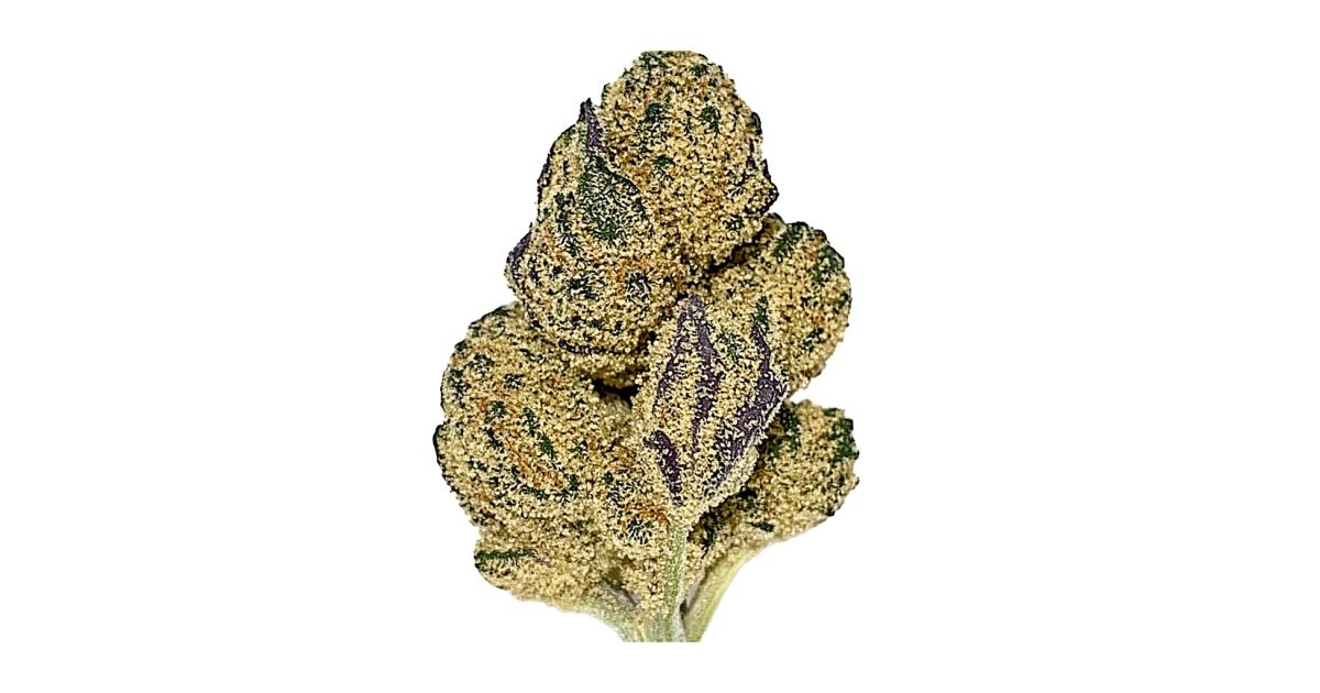 Blue Kush Cannabis Strain Harvests - GrowDiaries