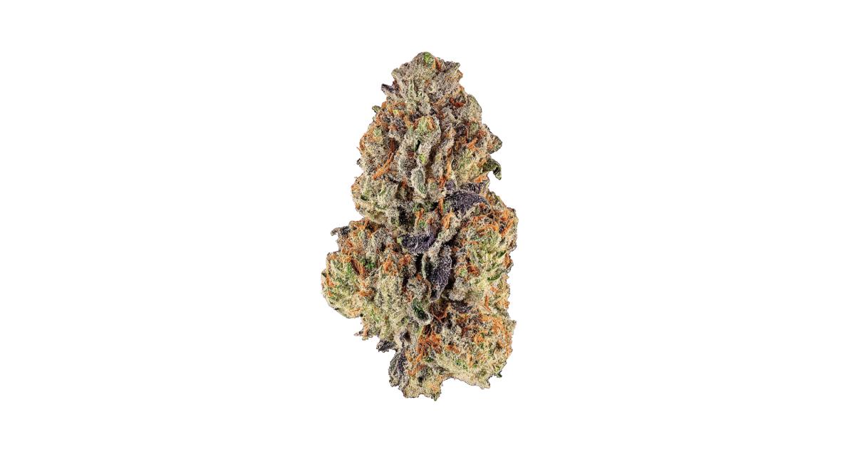 Purple Glue Cannabis Strain Information - GrowDiaries