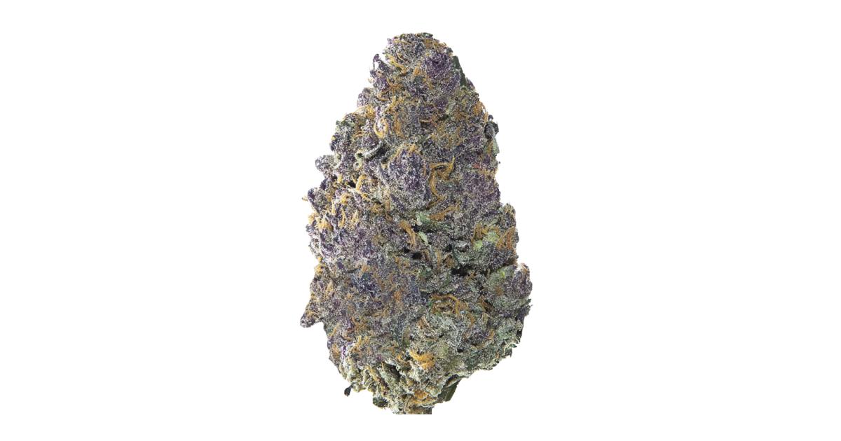 Orange Malt Cannabis Strain Information - GrowDiaries
