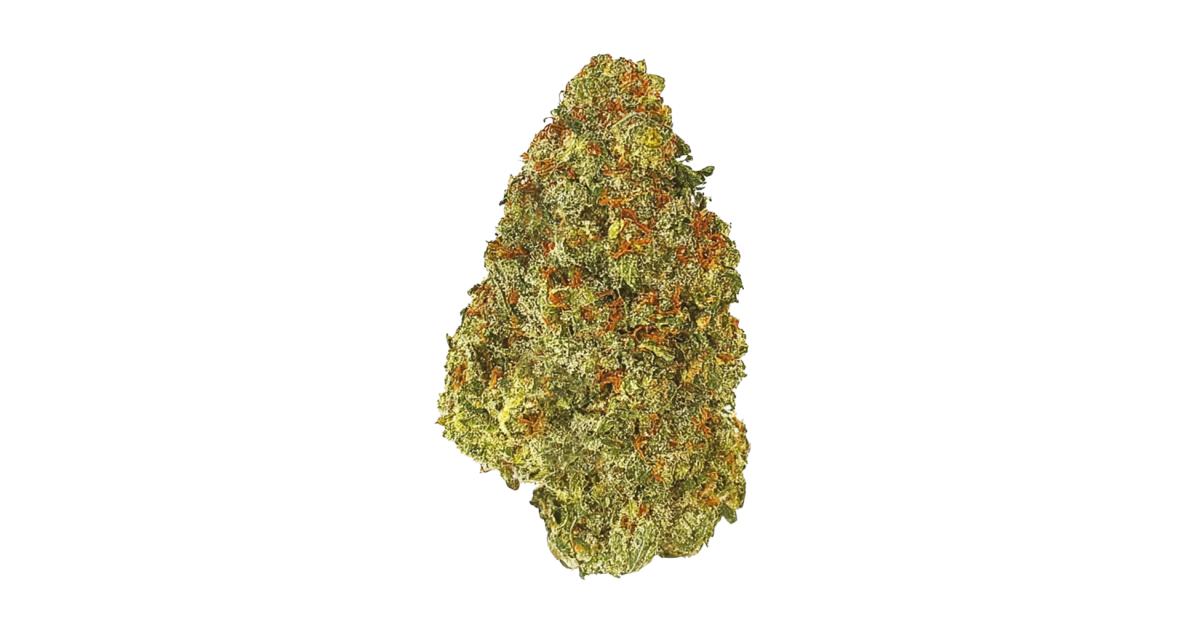 Jack Herer Cannabis Strain Information - GrowDiaries