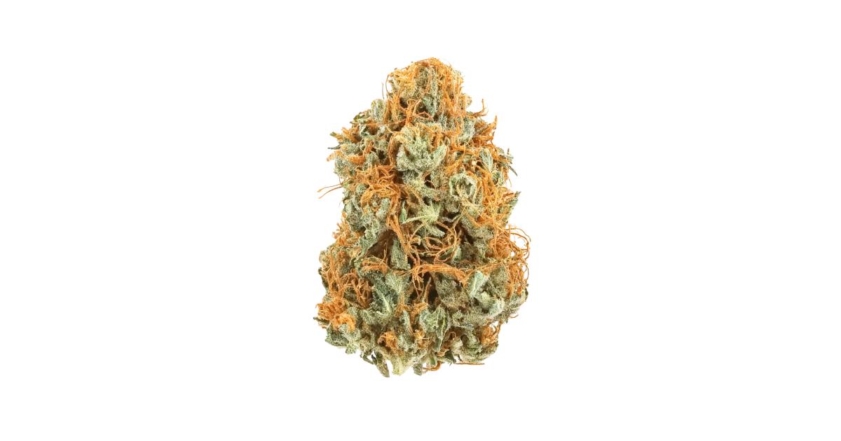 Orange Dream Cannabis Strain Information - GrowDiaries