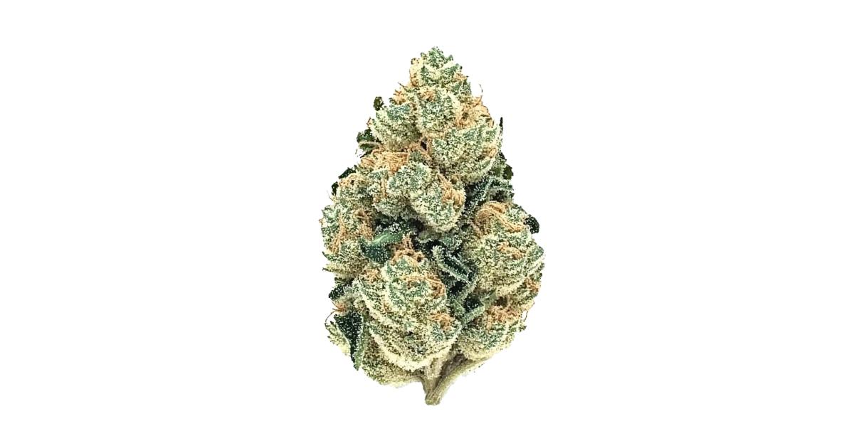 Sweet Skunk Cannabis Strain Diaries - GrowDiaries
