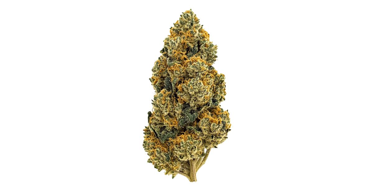 Sherbet Cookies Cannabis Strain Information - GrowDiaries