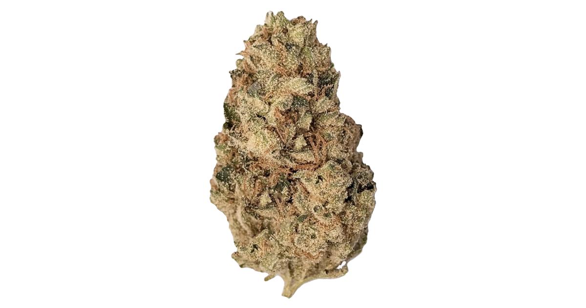 Space Cake Cannabis Strain Information - GrowDiaries