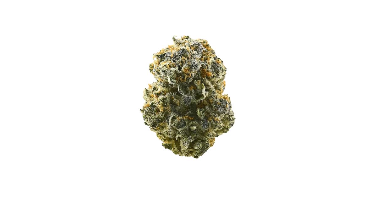Sour Garlic Cookies Cannabis Strain Information - GrowDiaries