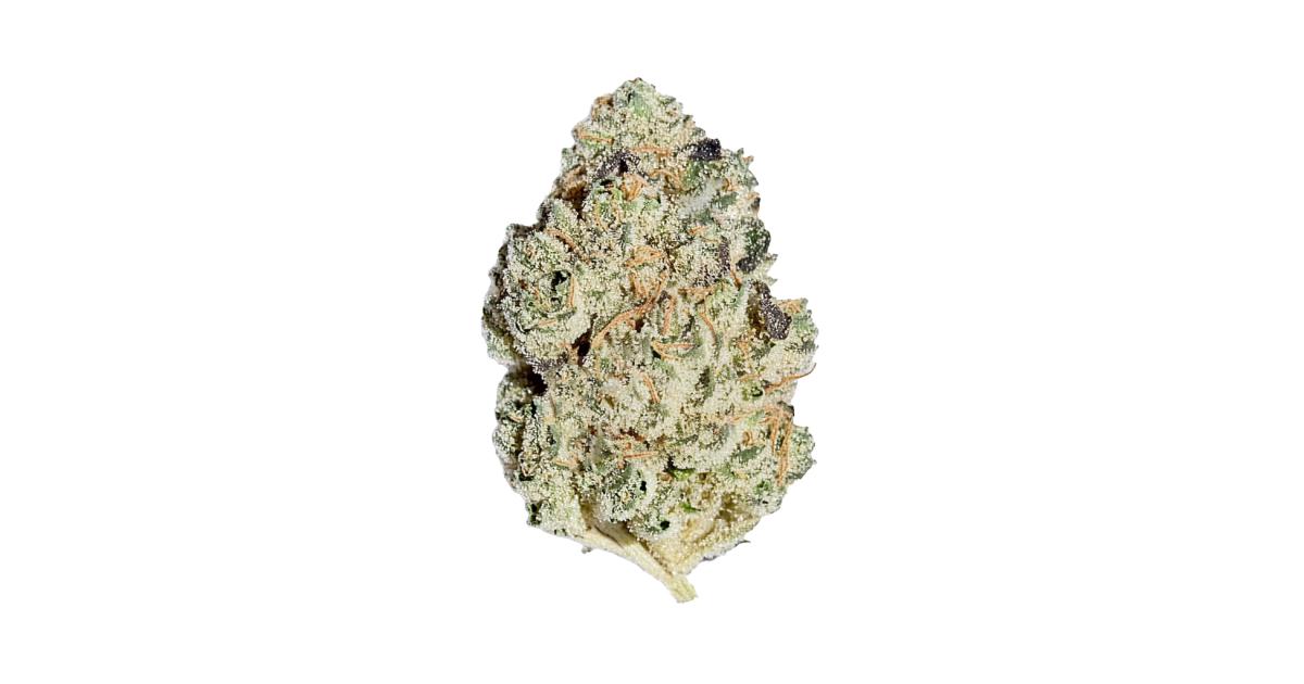 Jungle Cake Cannabis Strain Information - GrowDiaries