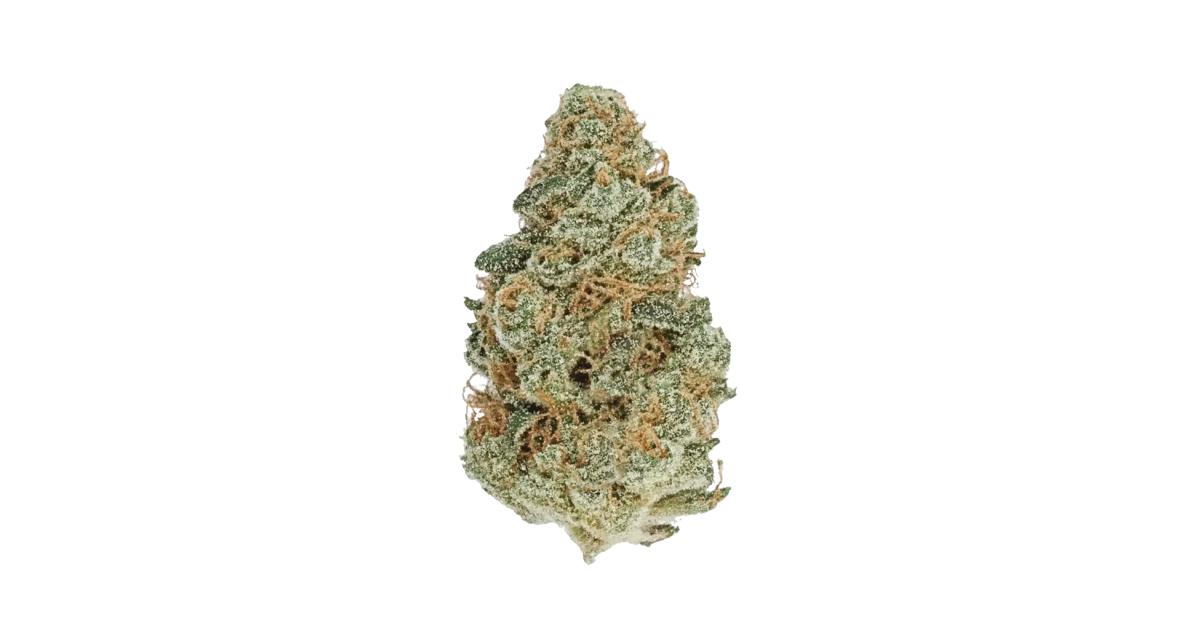 Mango Haze Cannabis Strain Information - GrowDiaries