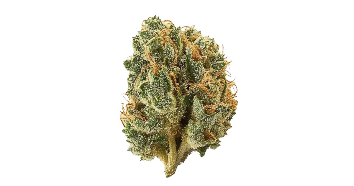 Strawberry Cannabis Strain Information - GrowDiaries