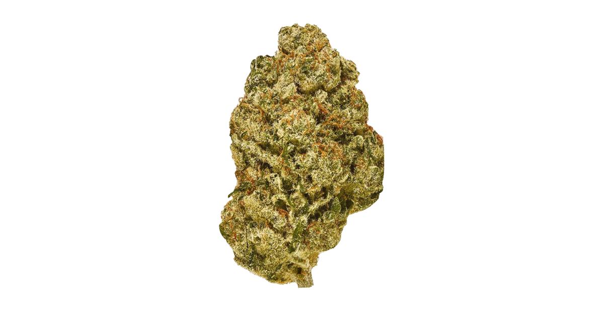 Gorilla Haze Cannabis Strain Information - GrowDiaries