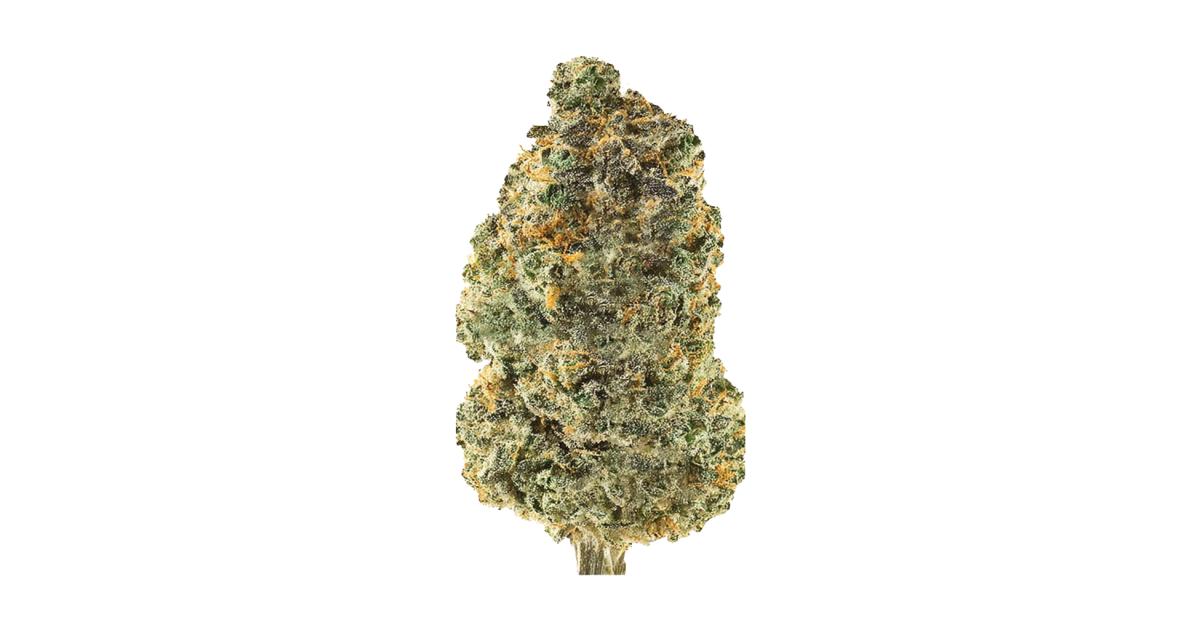 African Cannabis Strain Information - GrowDiaries