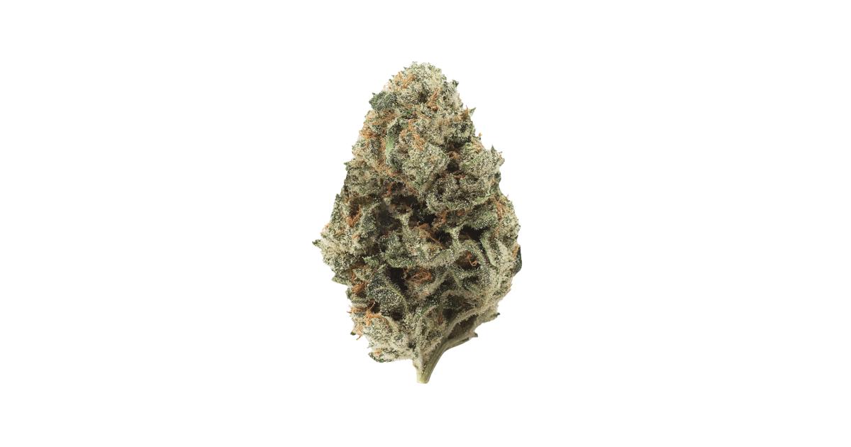 Sherblato Cannabis Strain Information - GrowDiaries