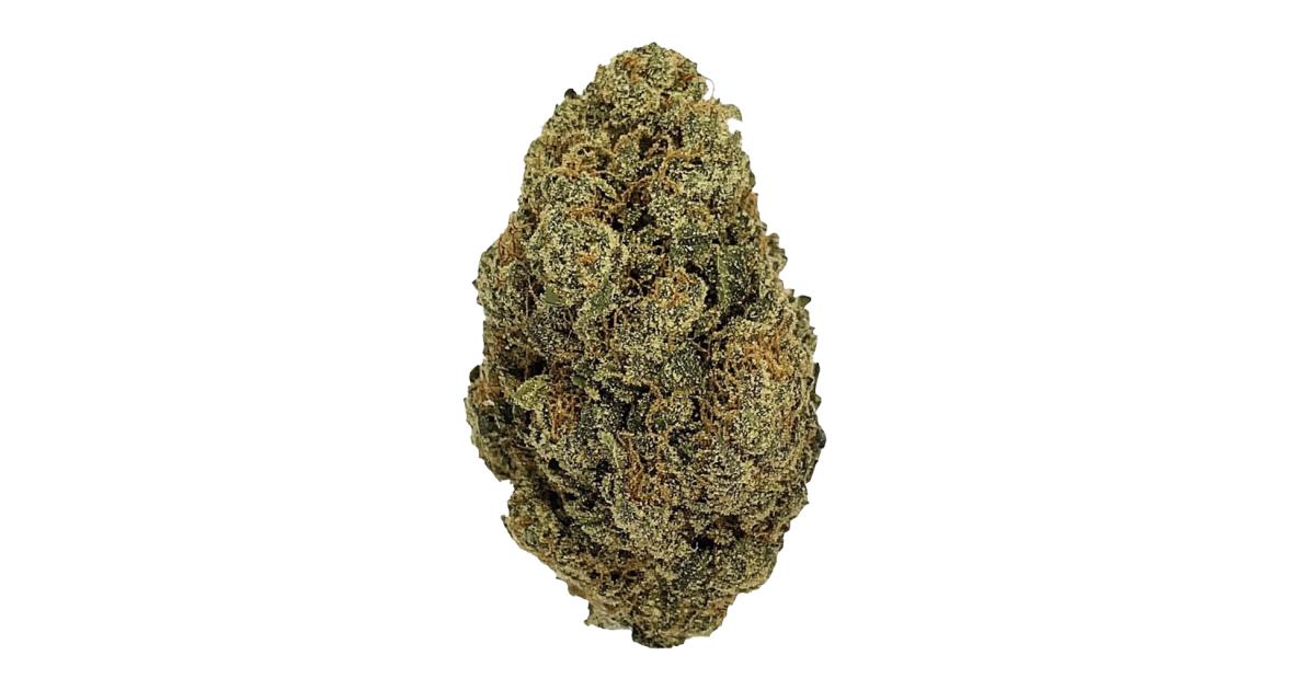 Gelato 45 Cannabis Strain Information - GrowDiaries