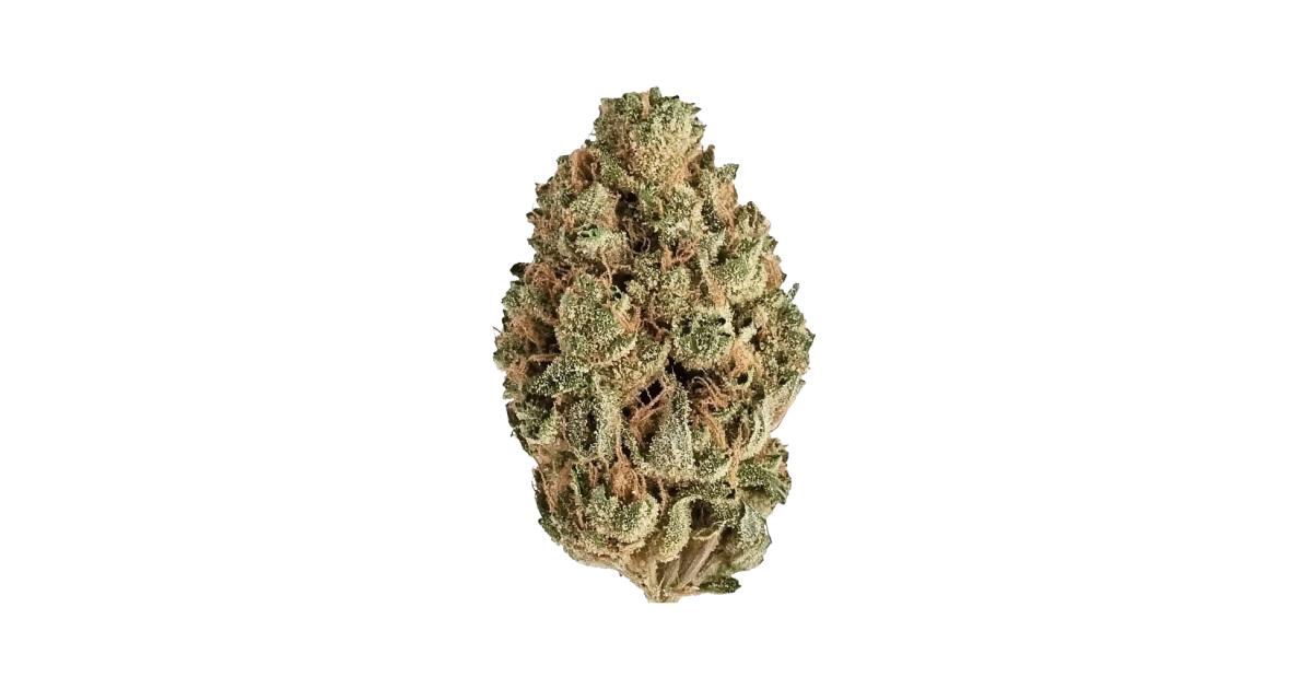 Super Sour Diesel Cannabis Strain Information - GrowDiaries