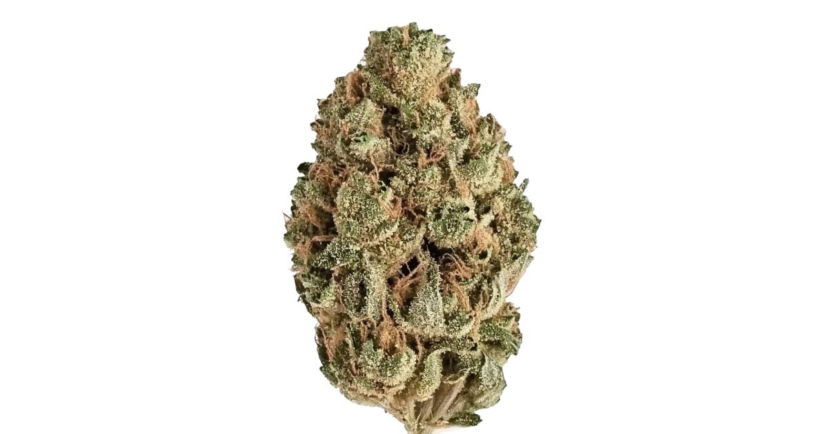 Super Sour Diesel Cannabis Strain Info - GrowDiaries