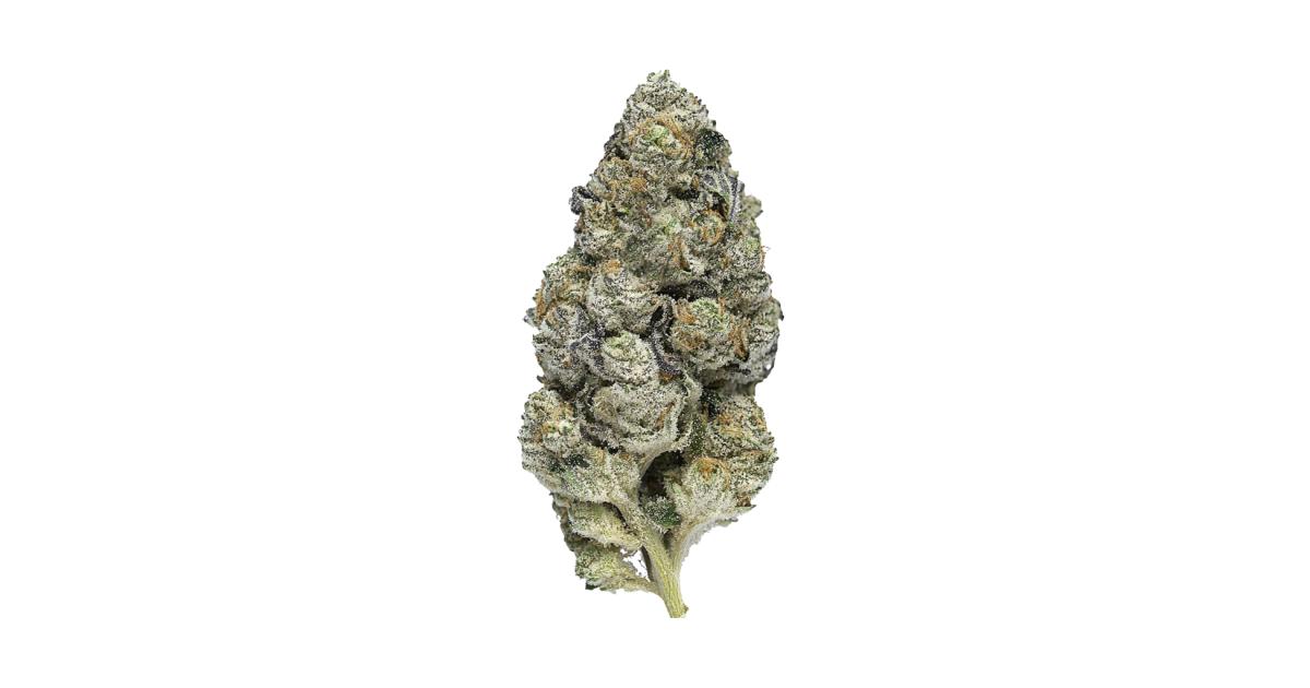 Mule Fuel Cannabis Strain Information - GrowDiaries