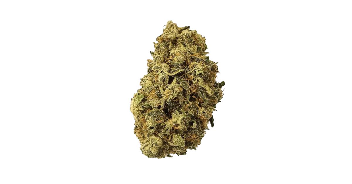 Durban Poison Cannabis Strain Information - GrowDiaries