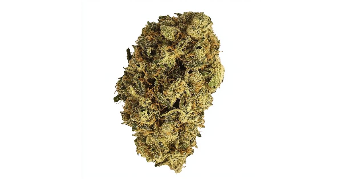 Durban Poison Cannabis Strain Information - GrowDiaries