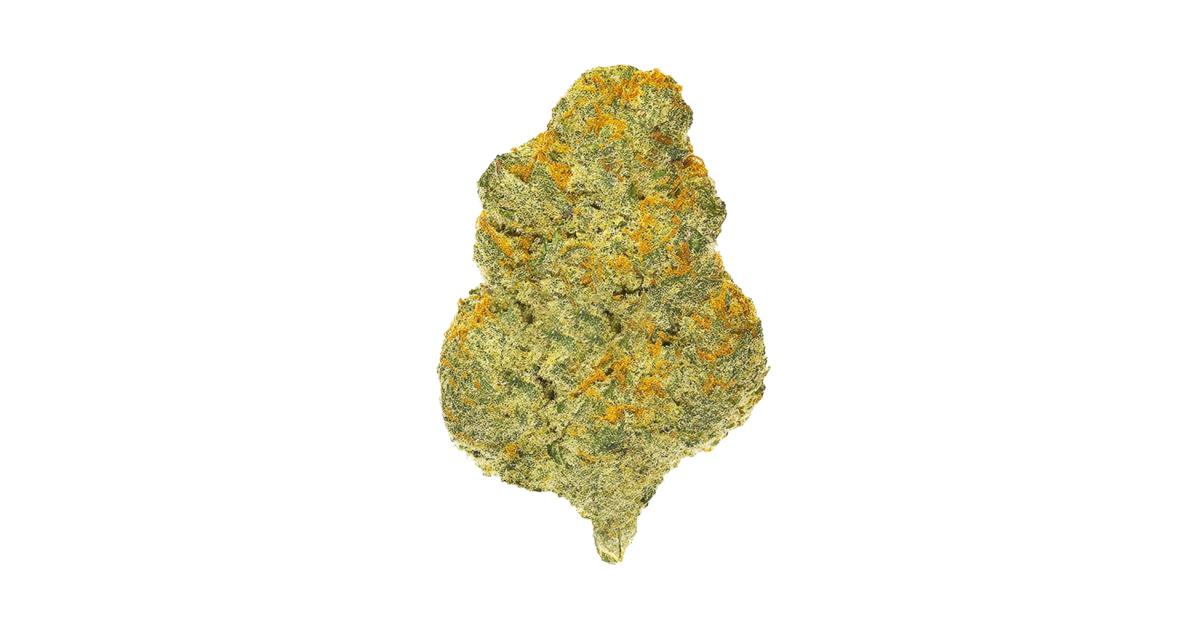 KC 33 Cannabis Strain Information - GrowDiaries
