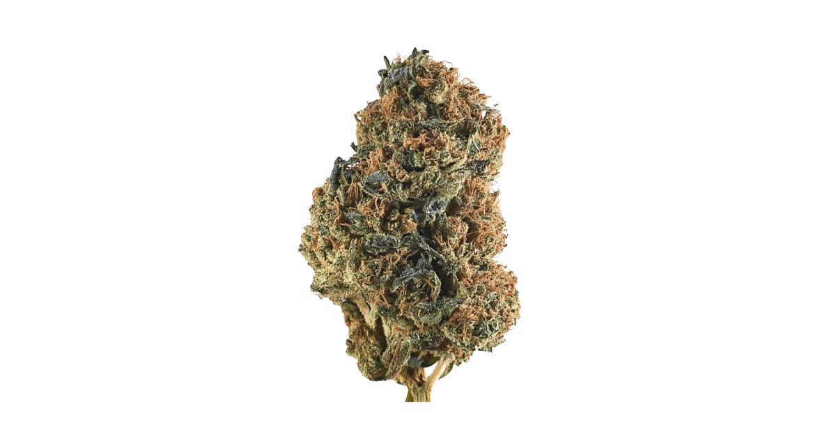 Purple Reign Cannabis Strain Information - GrowDiaries