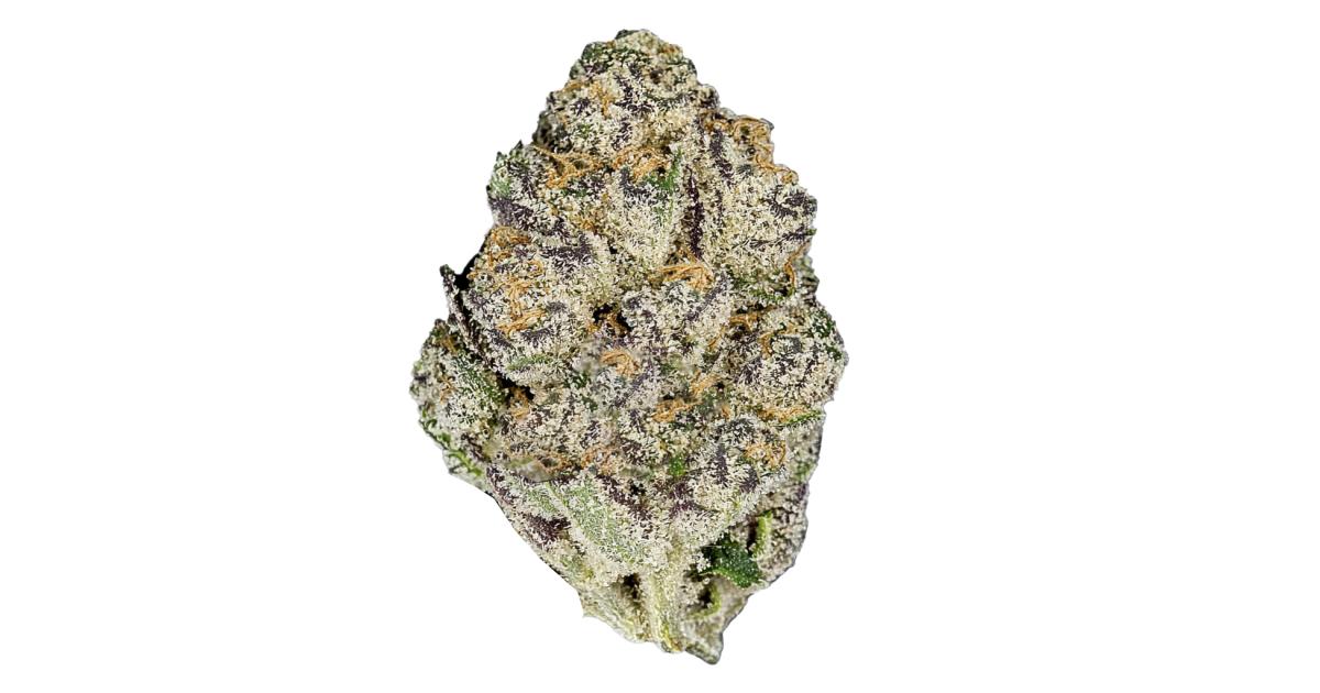 Pavé Cannabis Strain Information - GrowDiaries