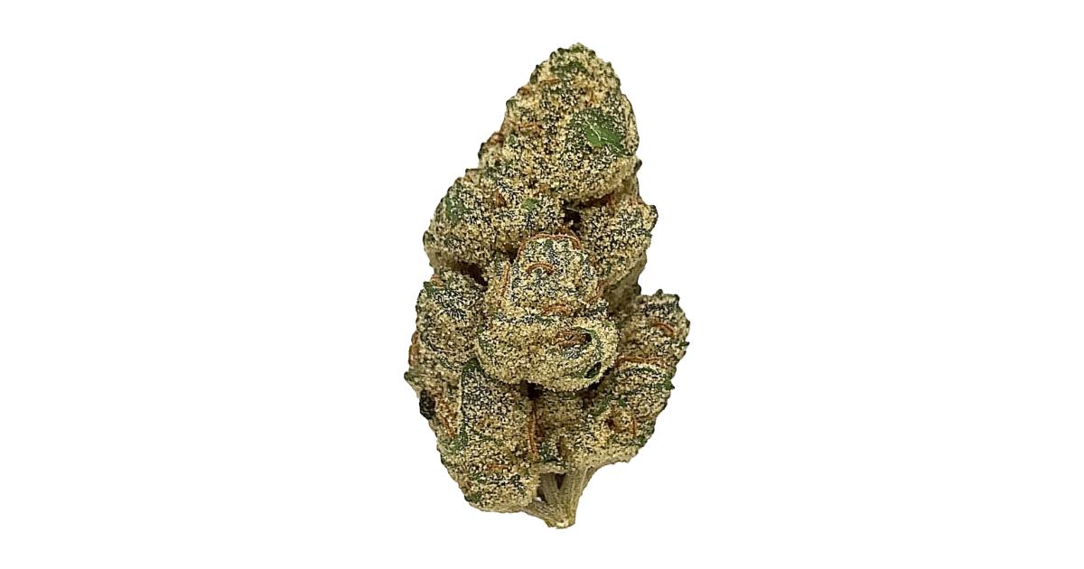 Malibu Pure Kush Cannabis Strain Information - GrowDiaries