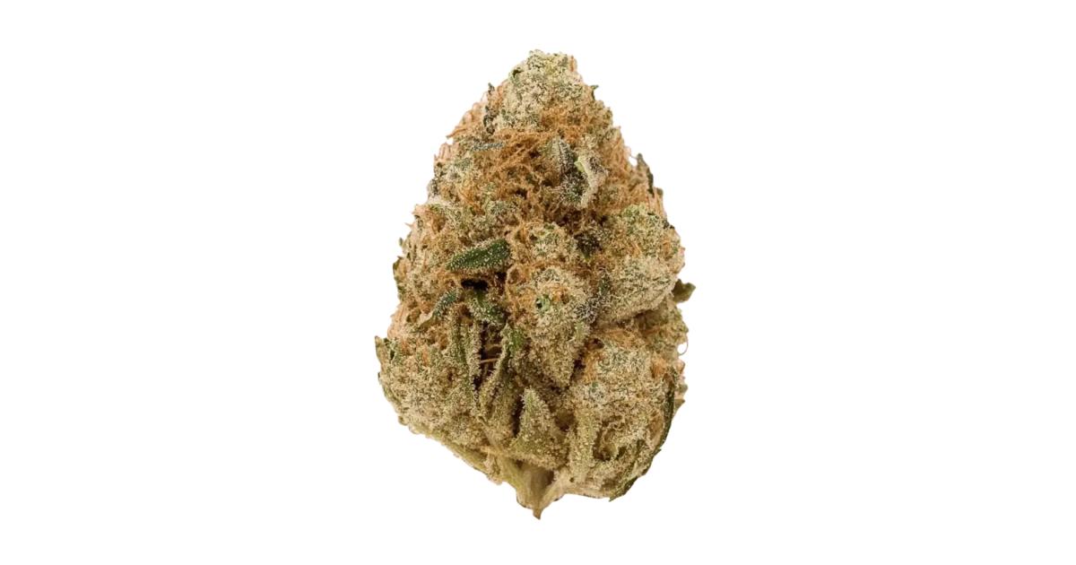 Sunset Sherbert Cannabis Strain Information - GrowDiaries