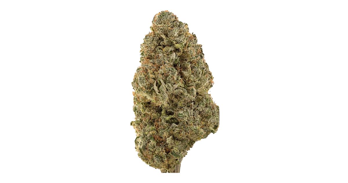 Kali Dog Cannabis Strain Information - GrowDiaries